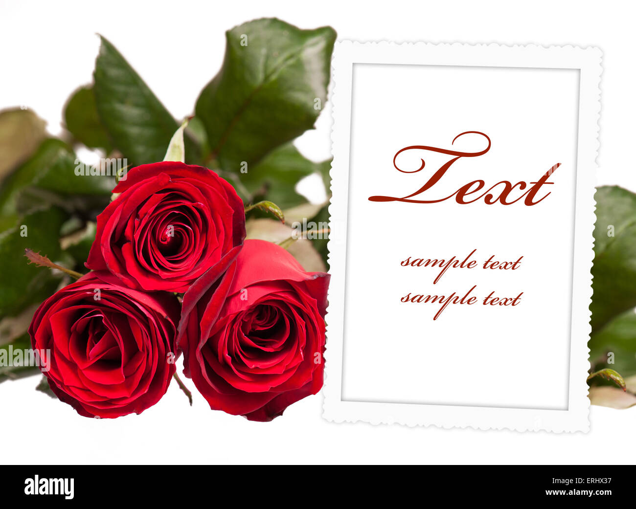 Three red roses empty paper hi-res stock photography and images - Alamy