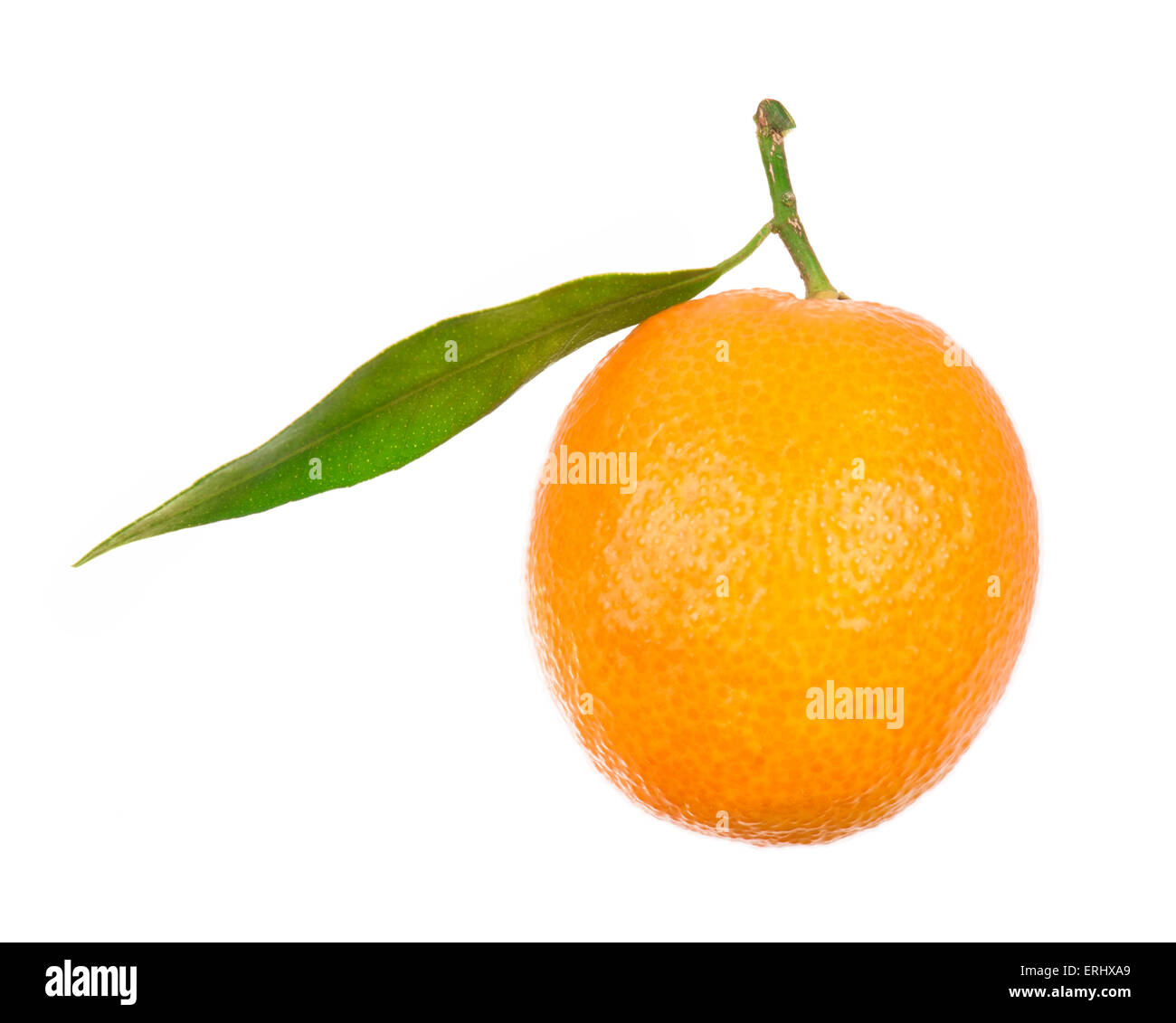 Big oranges Cut Out Stock Images & Pictures - Alamy