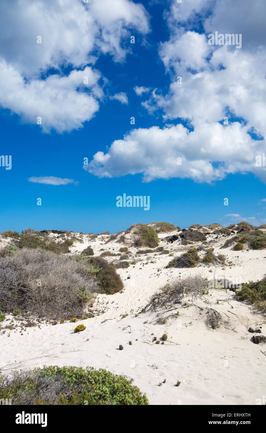 Sand dunes on beach on north east coast of Lanzarote, Canary Islands ...