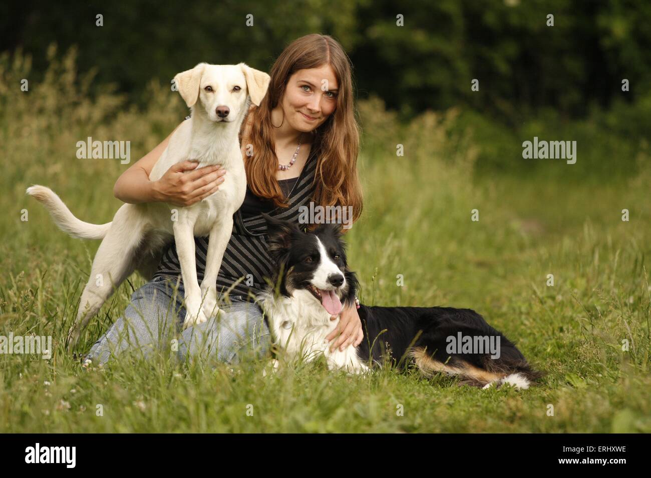 Woman hugging border collie hi-res stock photography and images - Alamy