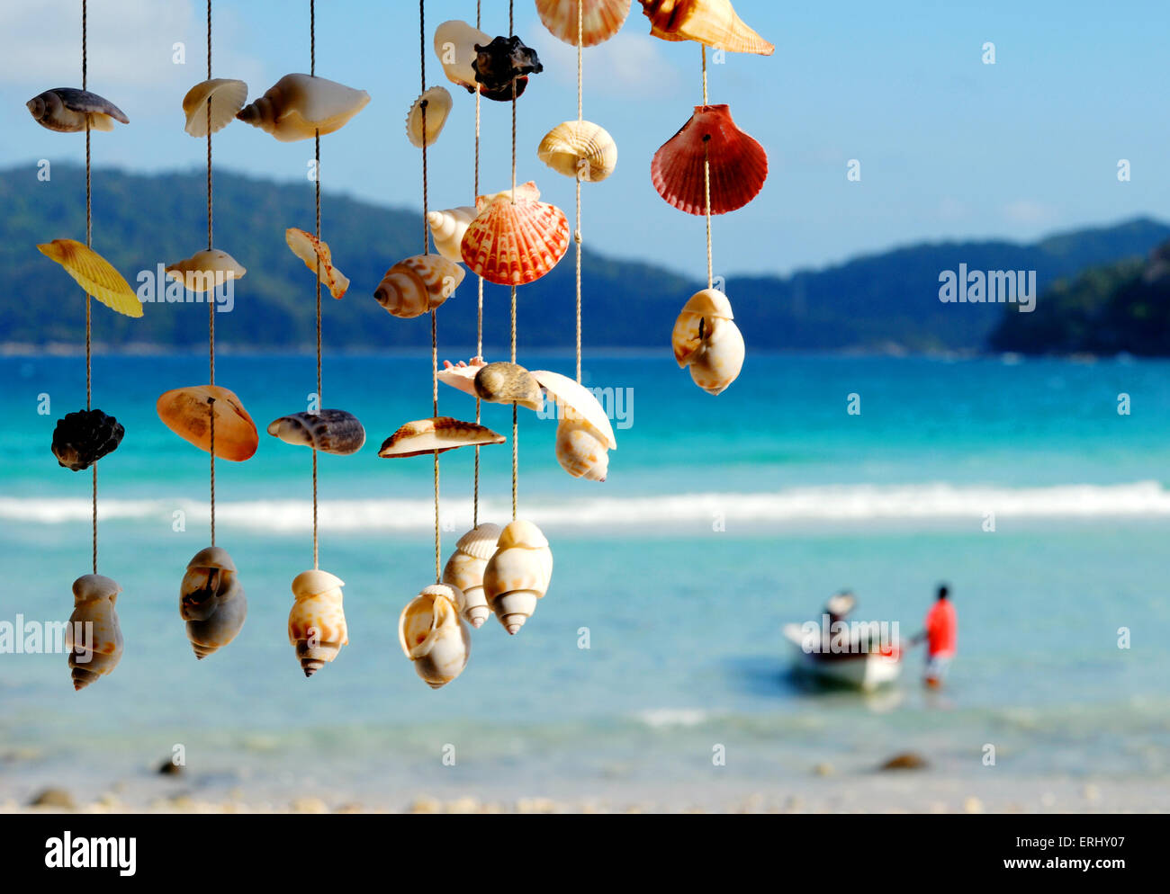 Sea shells on the sea shore Stock Photo - Alamy