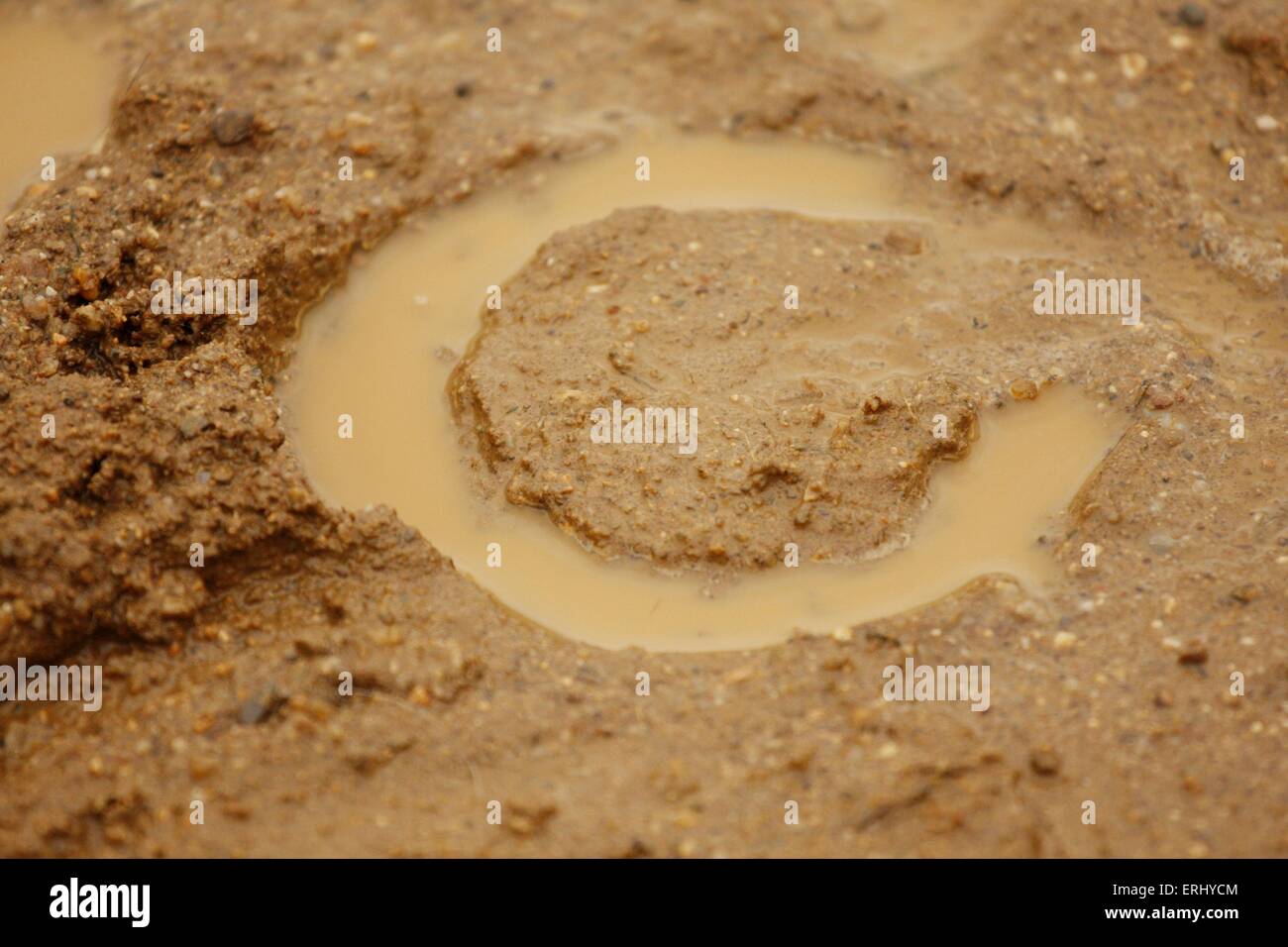 Hoof marks hi-res stock photography and images - Alamy