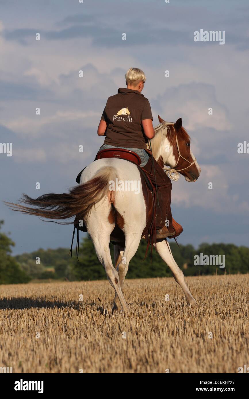 woman rides pony Stock Photo - Alamy