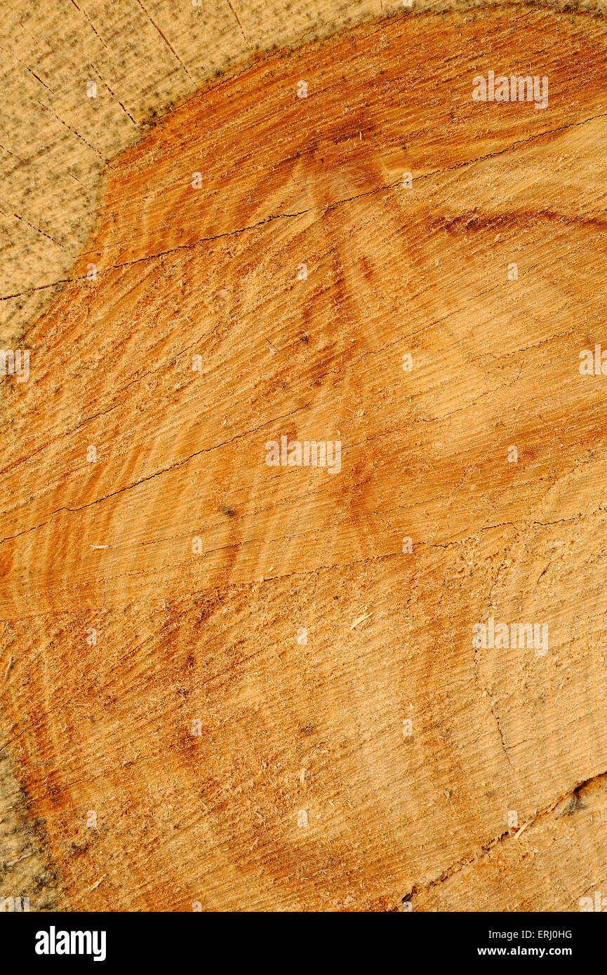 sawn wood texture as background Stock Photo - Alamy