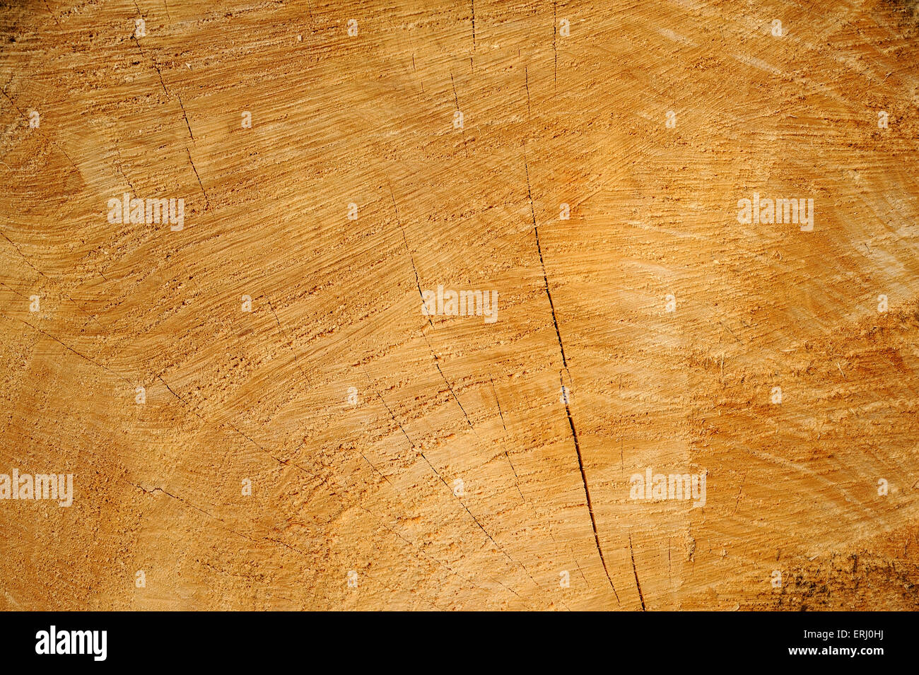 sawn wood texture as background Stock Photo - Alamy