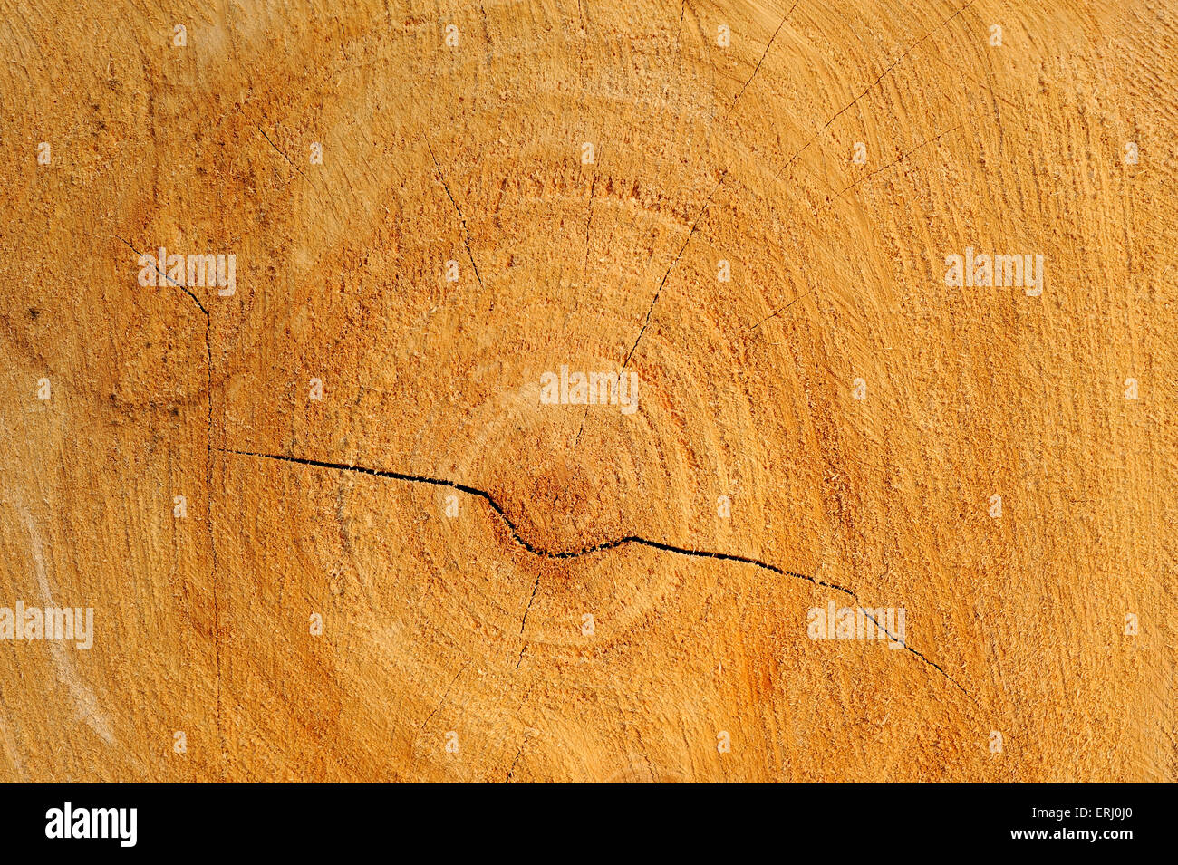 sawn wood texture as background Stock Photo - Alamy