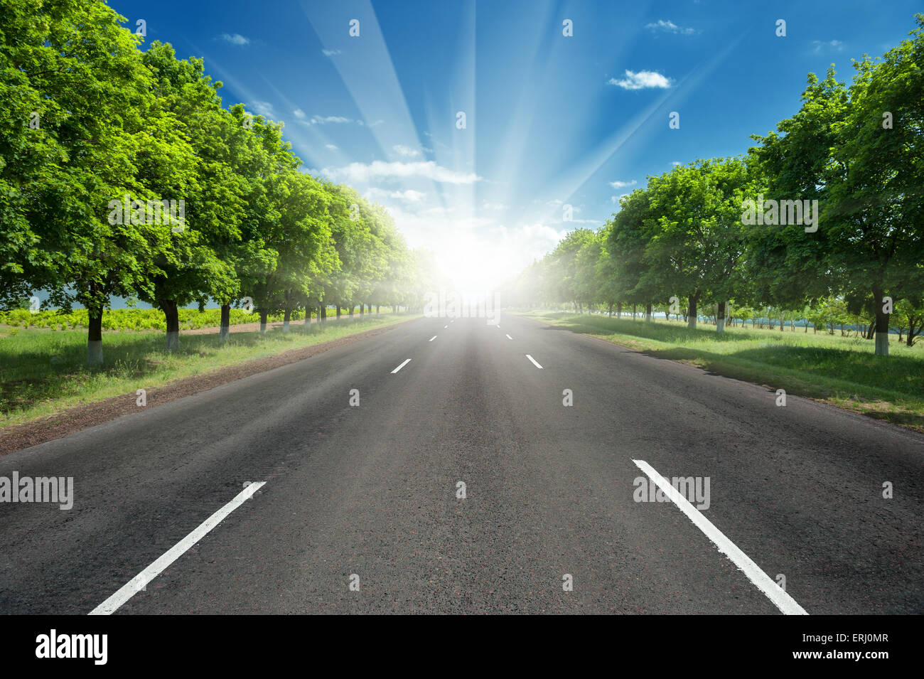 summer road landscape with sun Stock Photo - Alamy