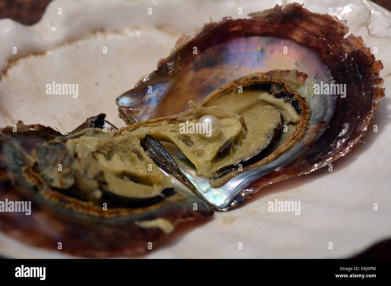 Shellfish And Pearls High Resolution Stock Photography and Images - Alamy