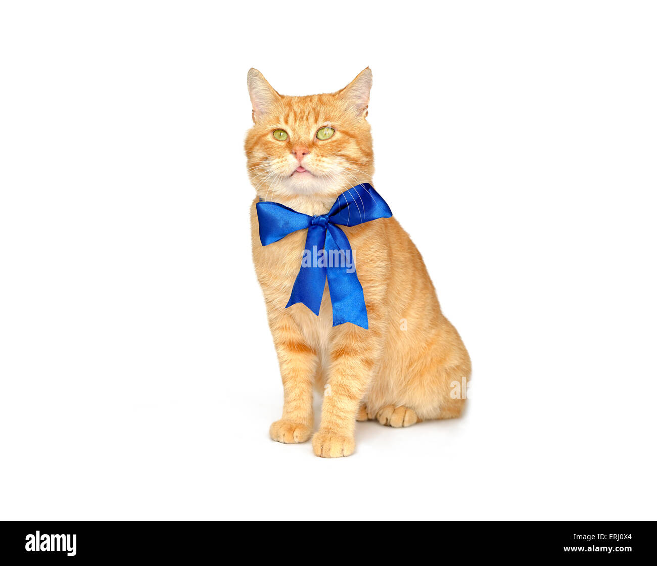 Red domestic hi-res stock photography and images - Alamy