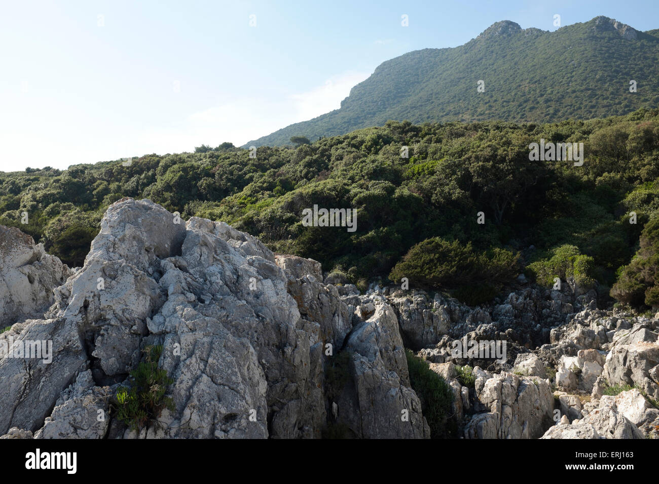 Mount circeo hi-res stock photography and images - Alamy