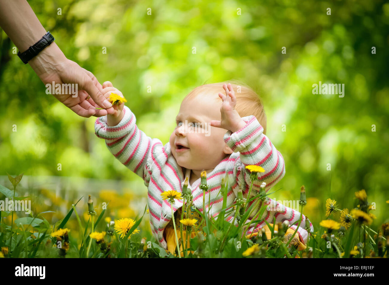 Outdoor portrait of a cute little baby in the grass Stock Photo - Alamy