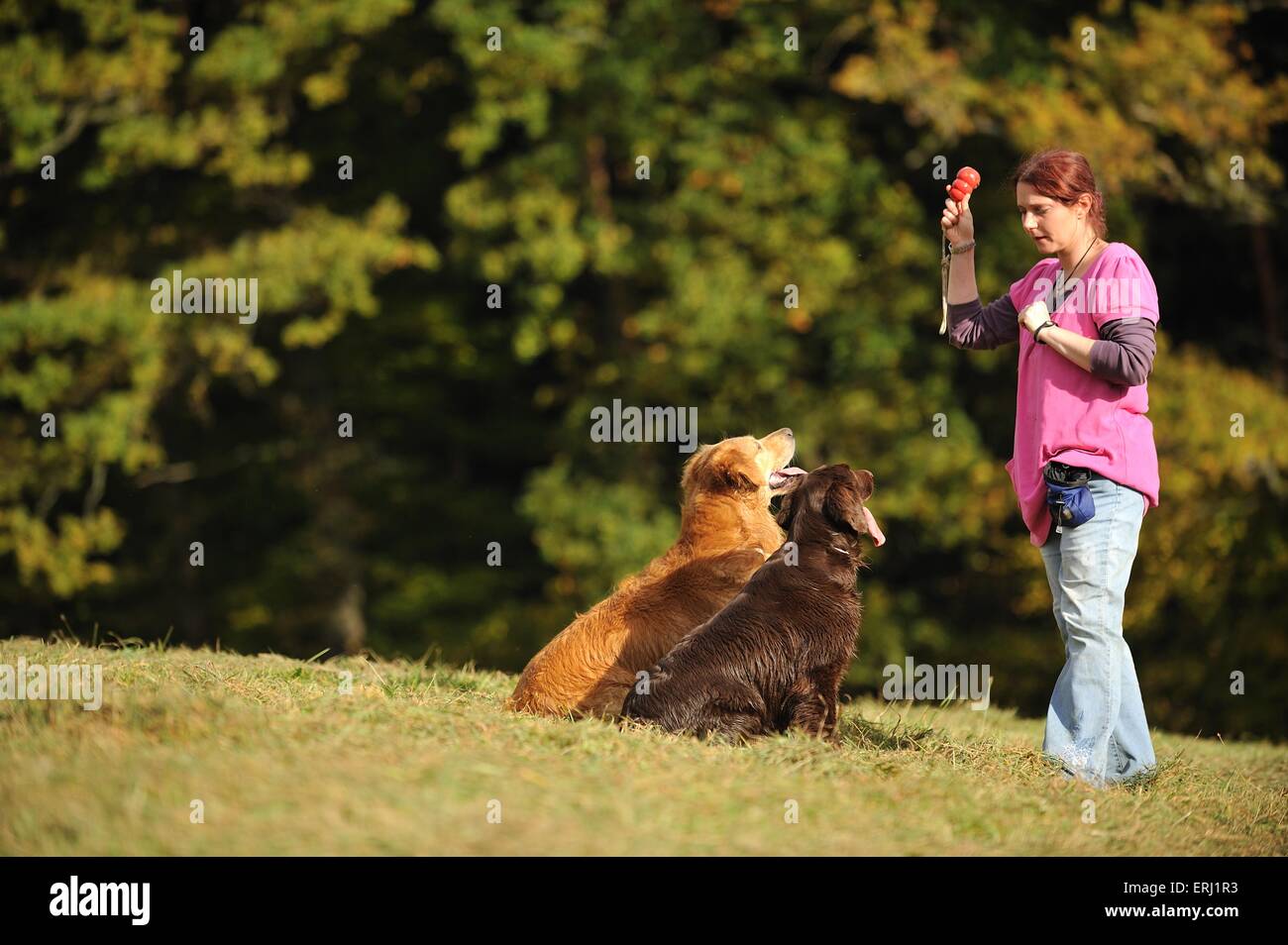 woman with 2 dogs Stock Photo - Alamy