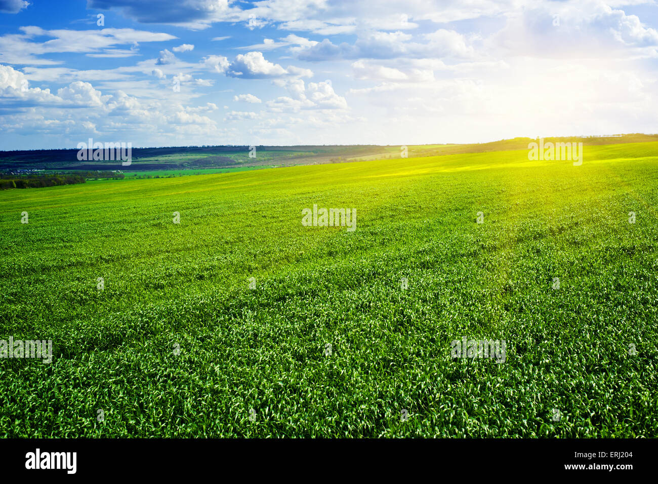 beautiful landscape. green field and clouds Stock Photo - Alamy