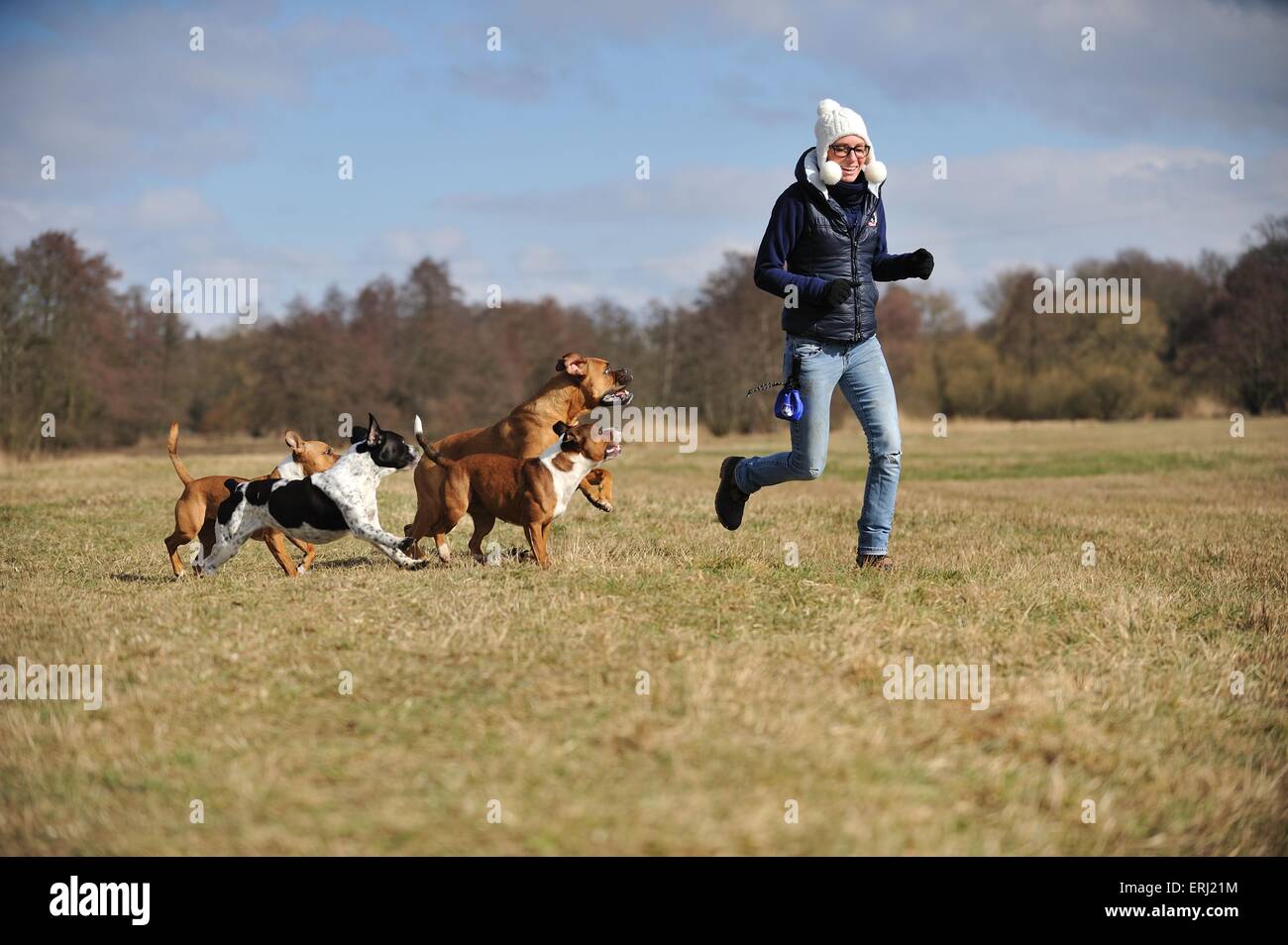 woman and 4 dogs Stock Photo - Alamy