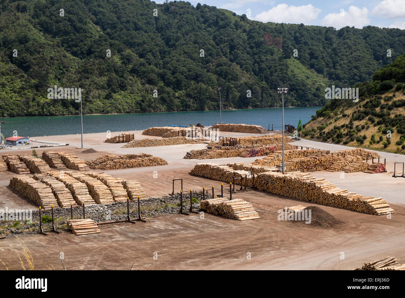 Waimahara Wharf in Shakespeares Bay, Picton, with logs on the quayside ...