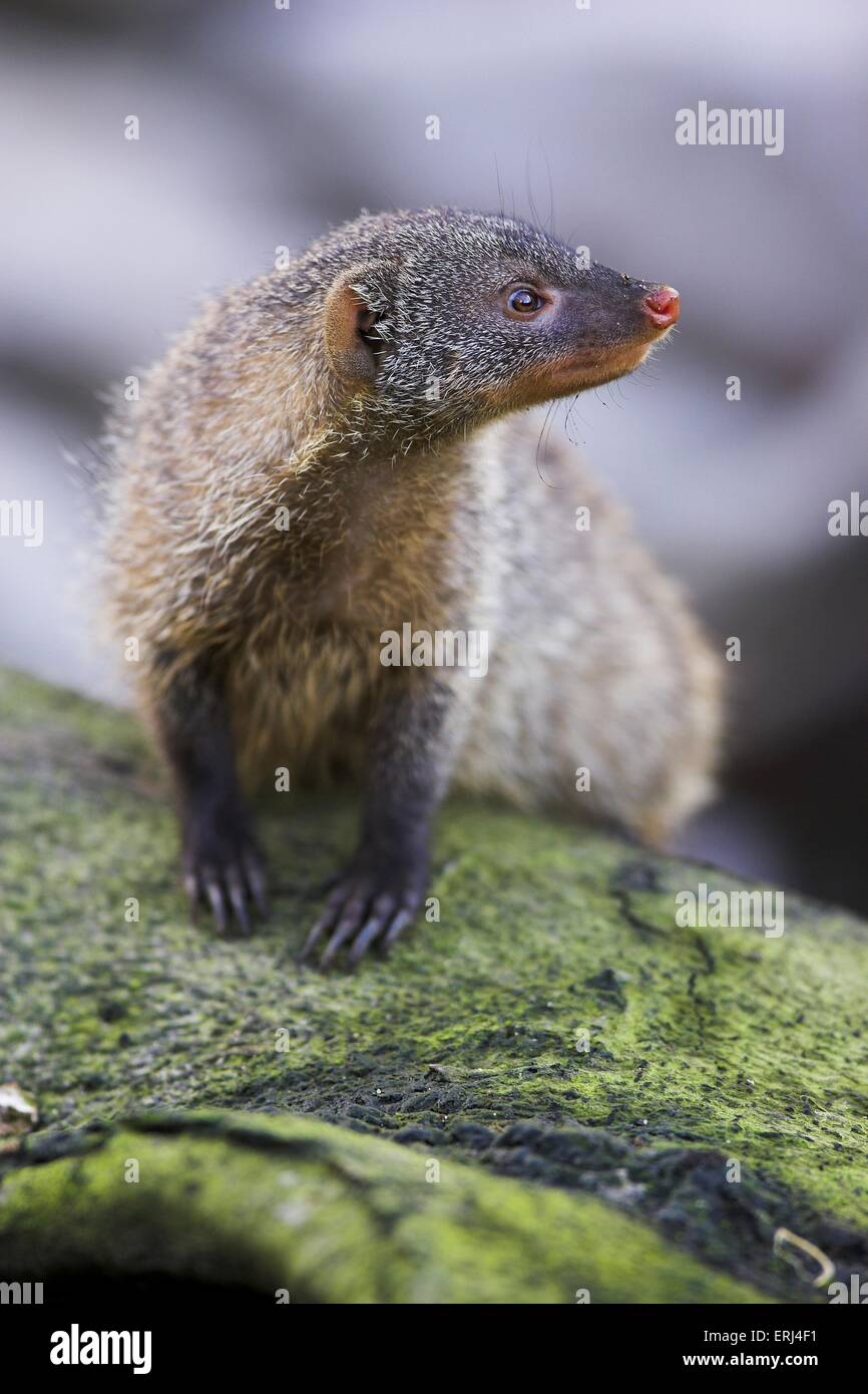 Branded Stock Photos & Branded Stock Images - Alamy