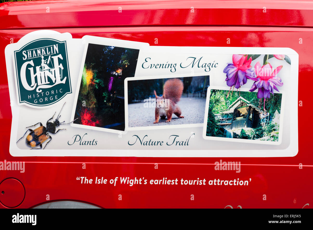 Shanklin chine historic gorge hi-res stock photography and images - Alamy