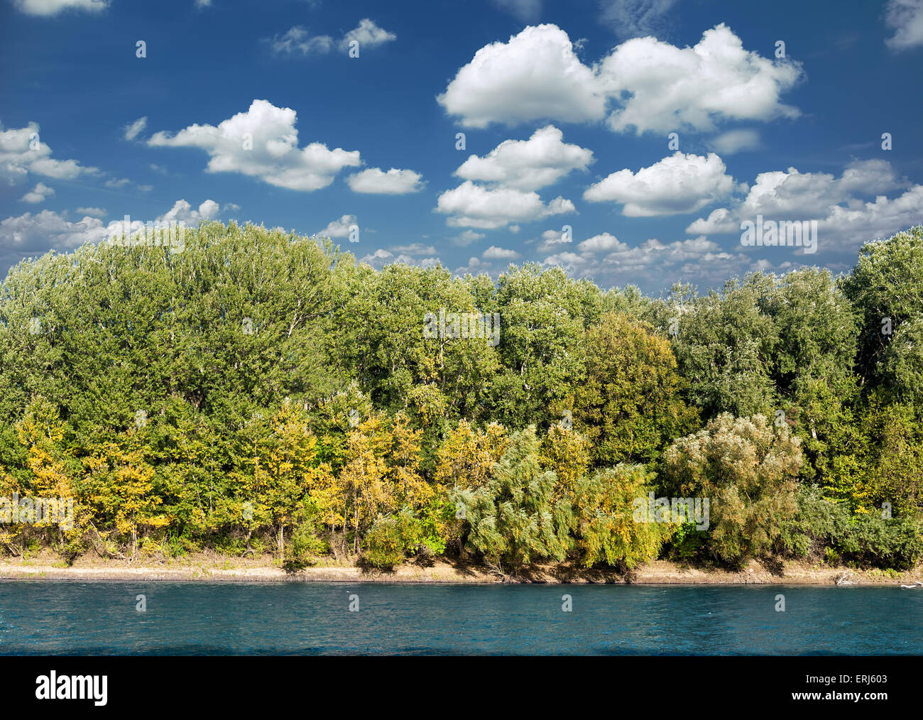 Beautiful landscape with river and forest Stock Photo - Alamy