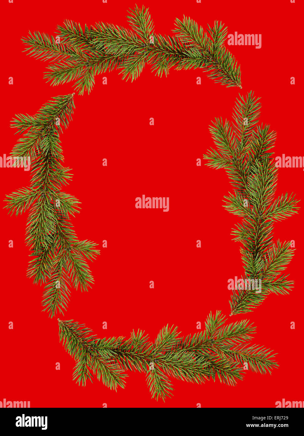 red christmas frame from fir branches Stock Photo - Alamy