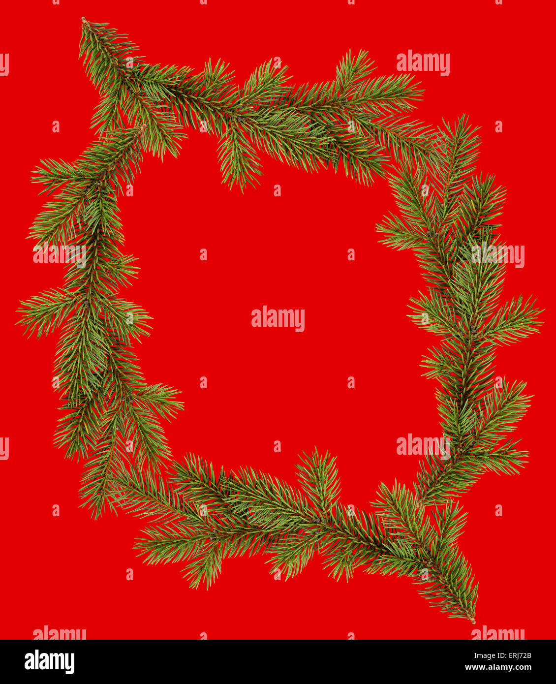 red christmas frame from fir branches Stock Photo - Alamy