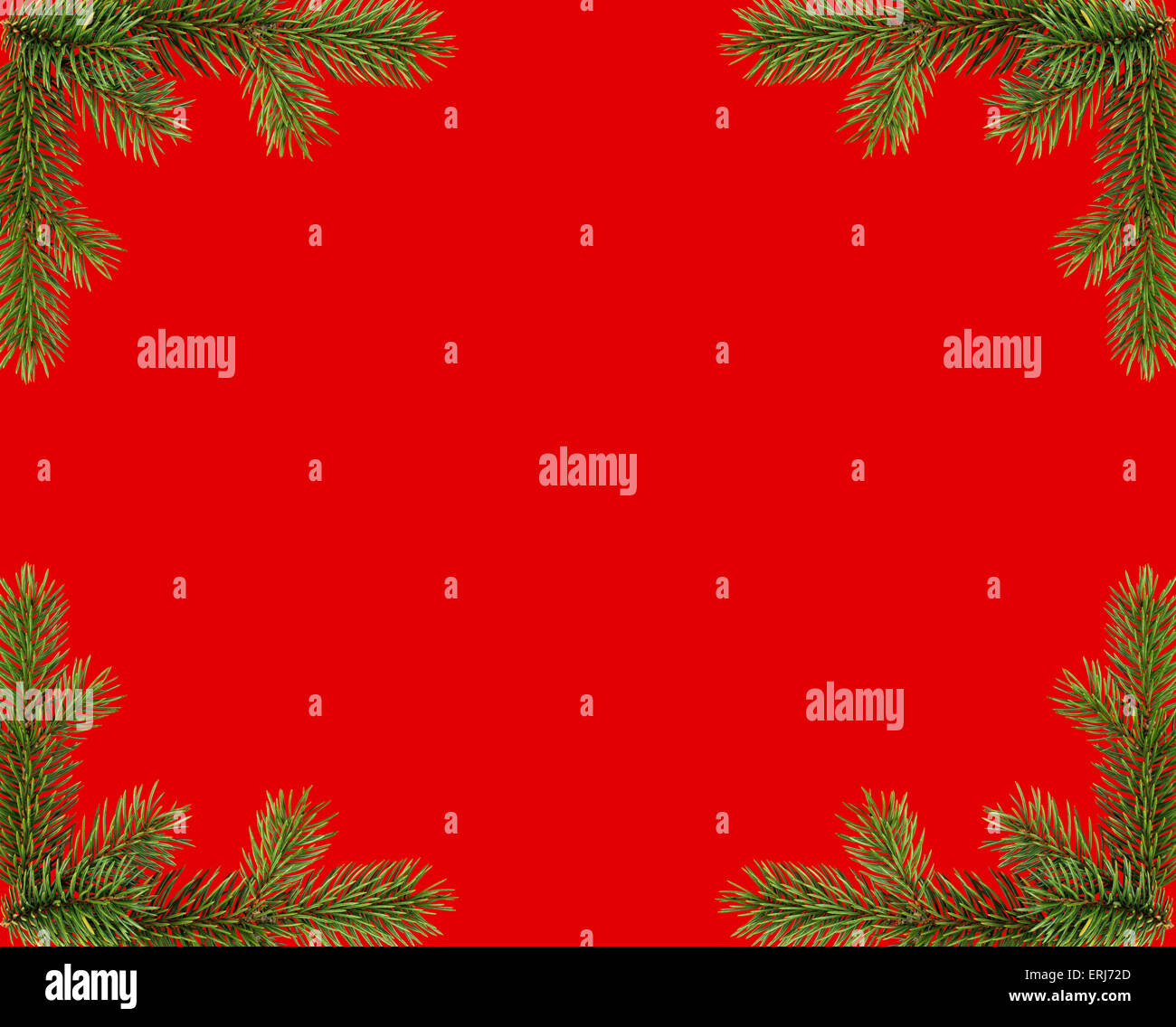 red christmas frame from fir branches Stock Photo - Alamy