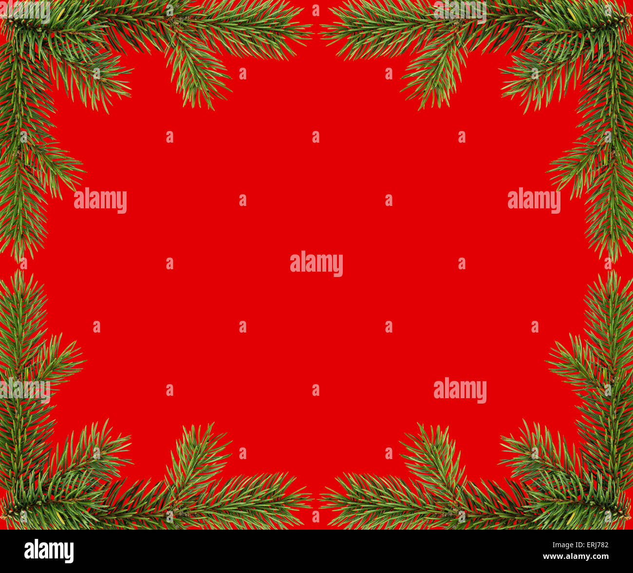 red christmas frame from fir branches Stock Photo - Alamy