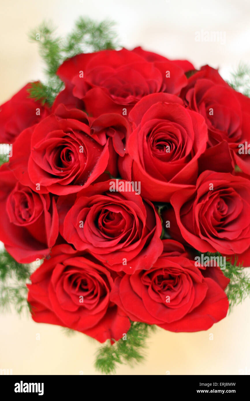 Bouquet of Red Roses Stock Photo - Alamy