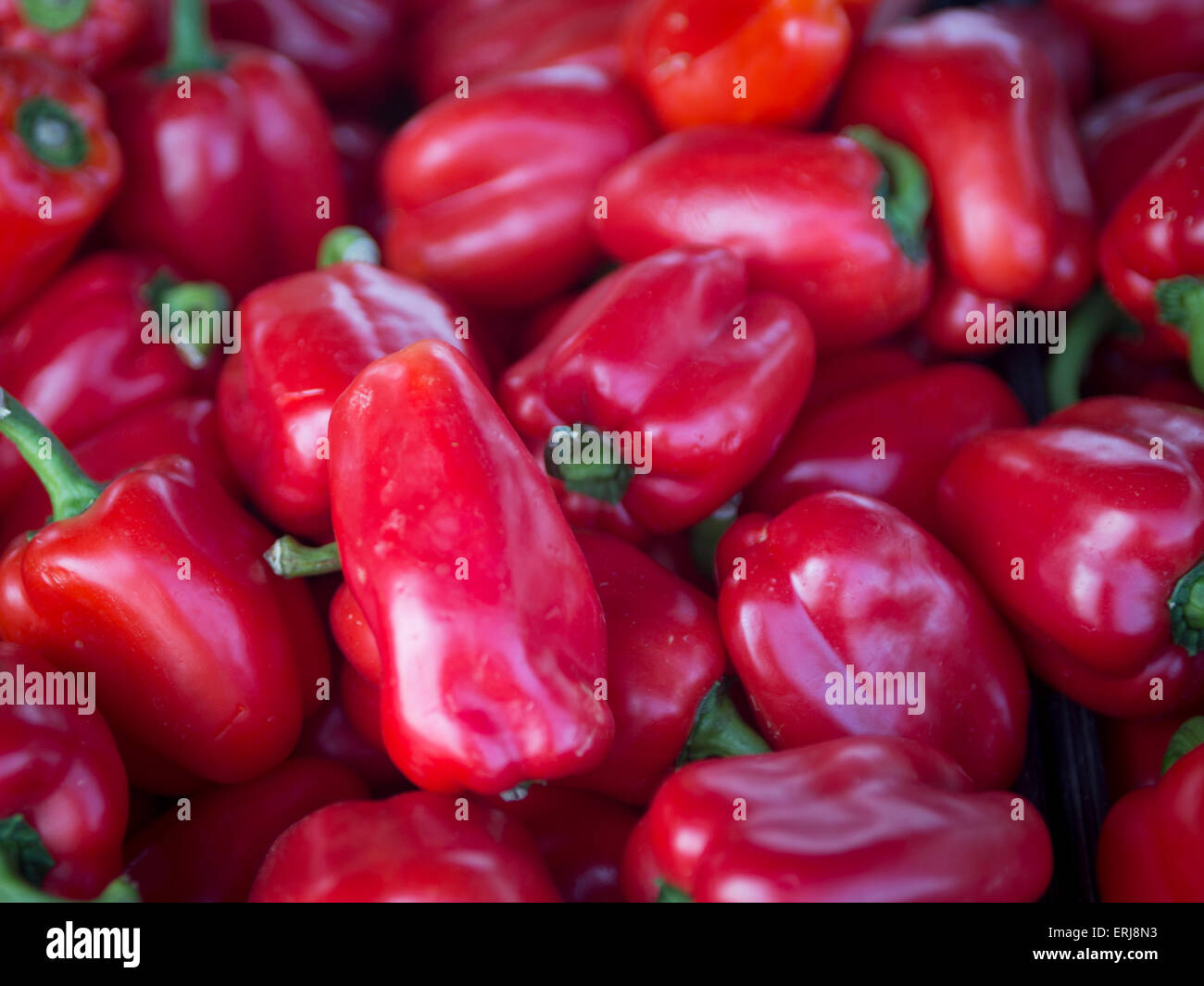Fresh small bell peppers hi-res stock photography and images - Alamy