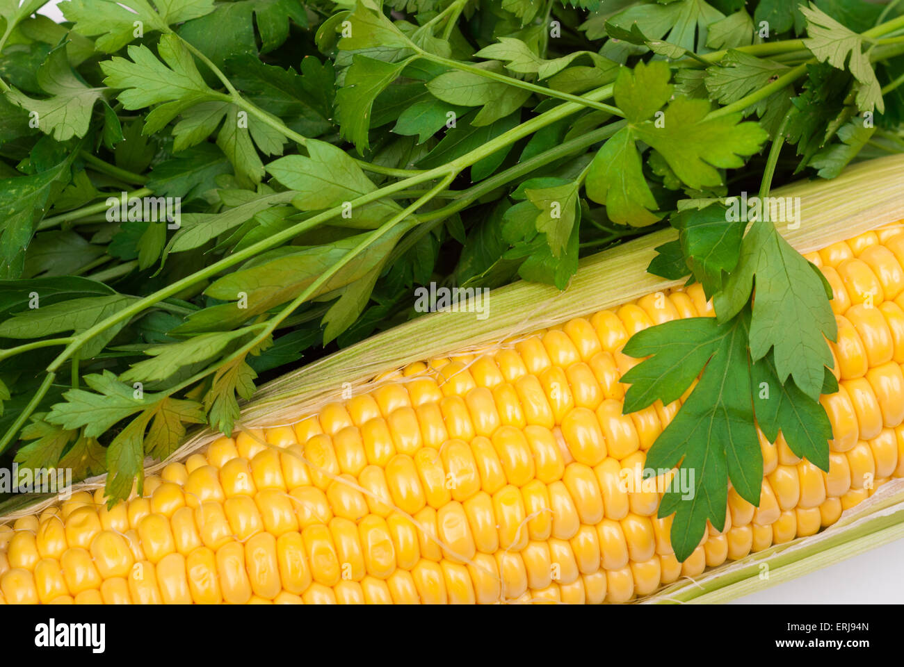 Bi corn hi-res stock photography and images - Alamy