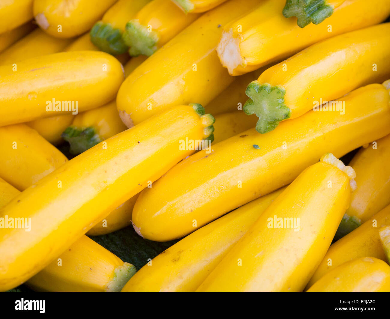 Yellow Squash Background Stock Photo - Alamy