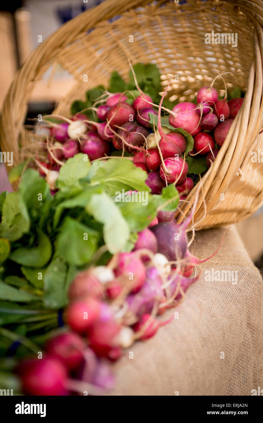 Basket of Radishes on Display at a Farmers Market in San Diego, CA ...