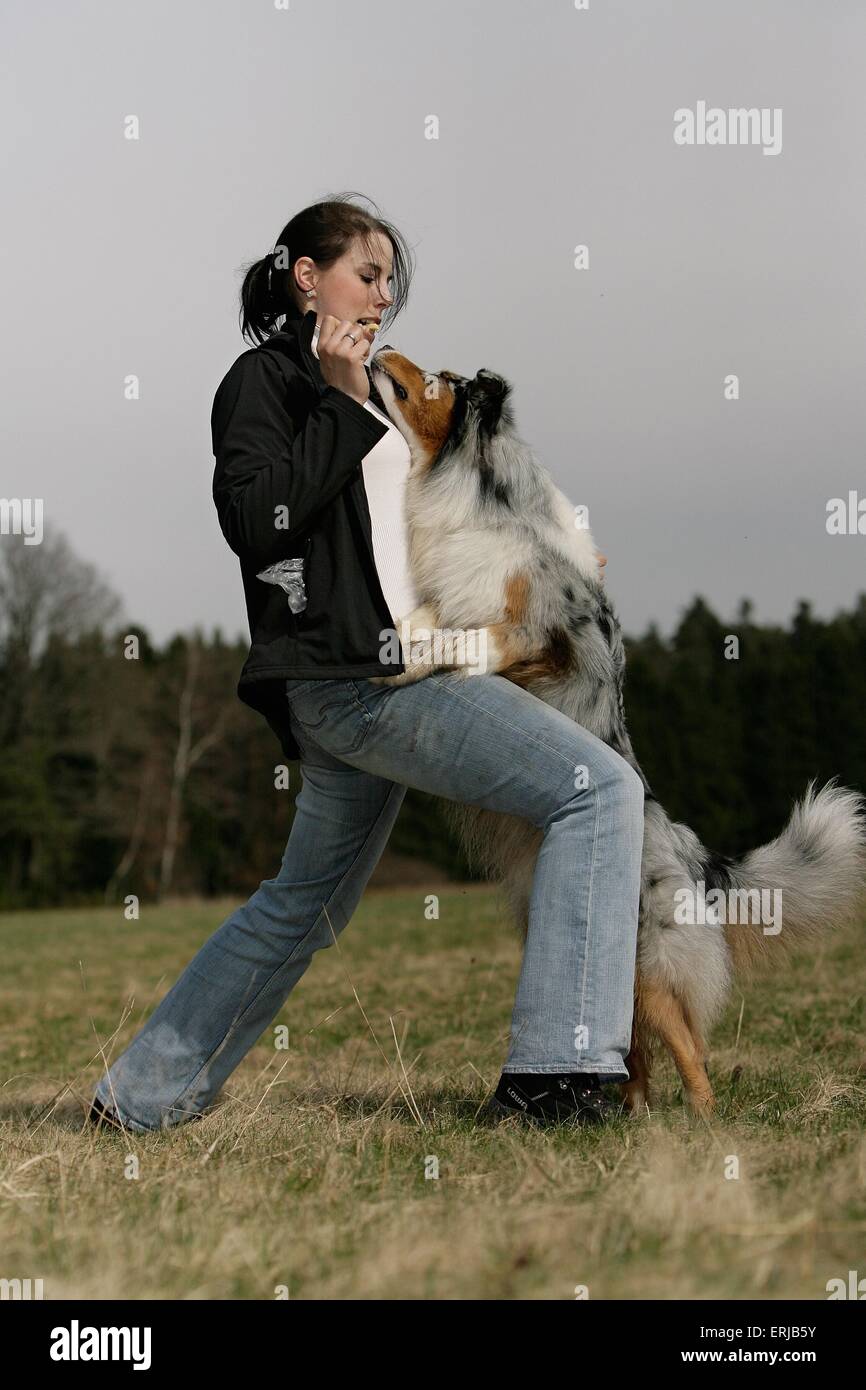 Shepherds dance hi-res stock photography and images - Alamy