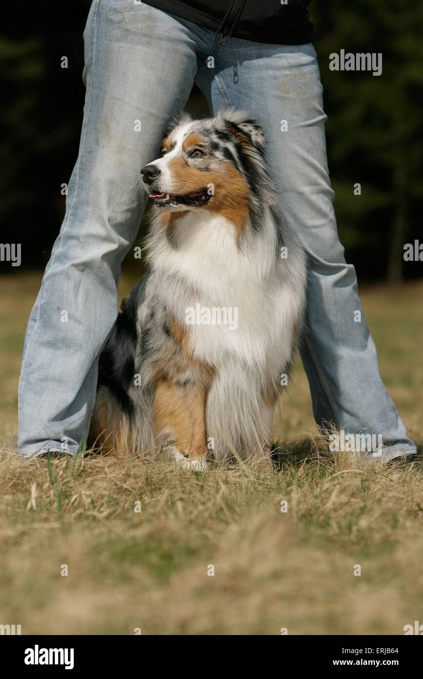 Dancing shepherds hi-res stock photography and images - Alamy