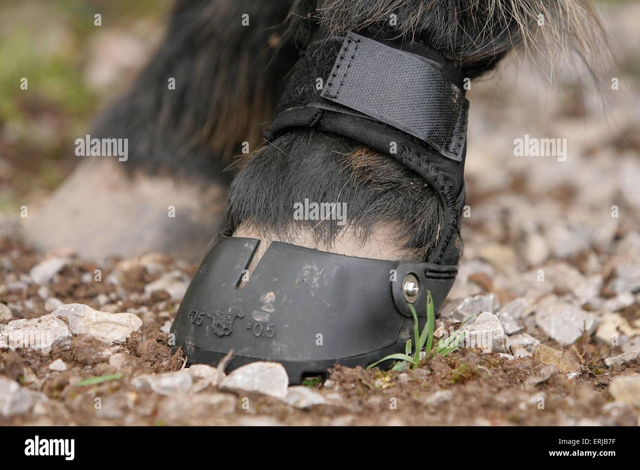 Hoof boots hi-res stock photography and images - Alamy
