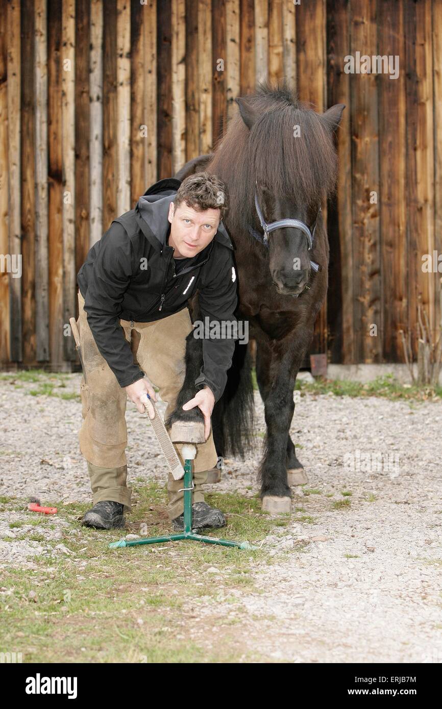Rasping A Horses Hoof High Resolution Stock Photography and Images - Alamy
