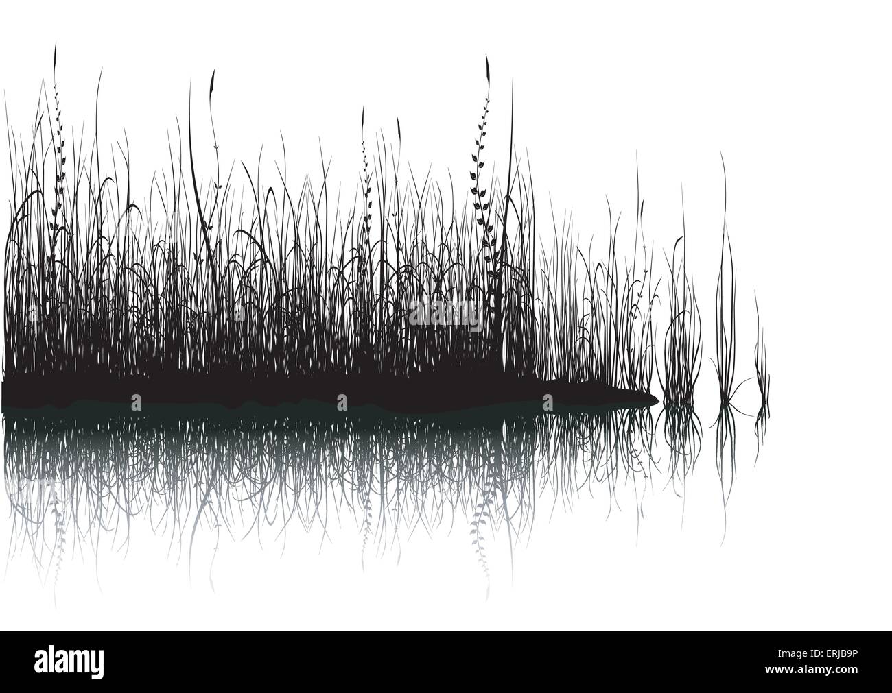 Black grass isolated on white Stock Vector Image & Art - Alamy