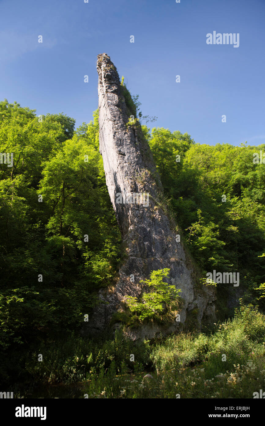 UK, England, Derbyshire, Dovedale, Ilam Rock limestone rock pinnacle ...