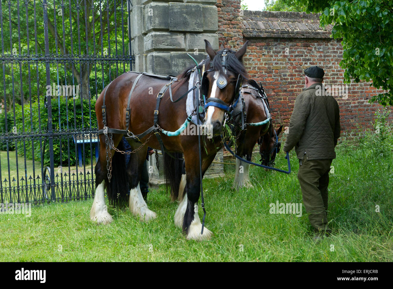 Centaur project hi-res stock photography and images - Alamy
