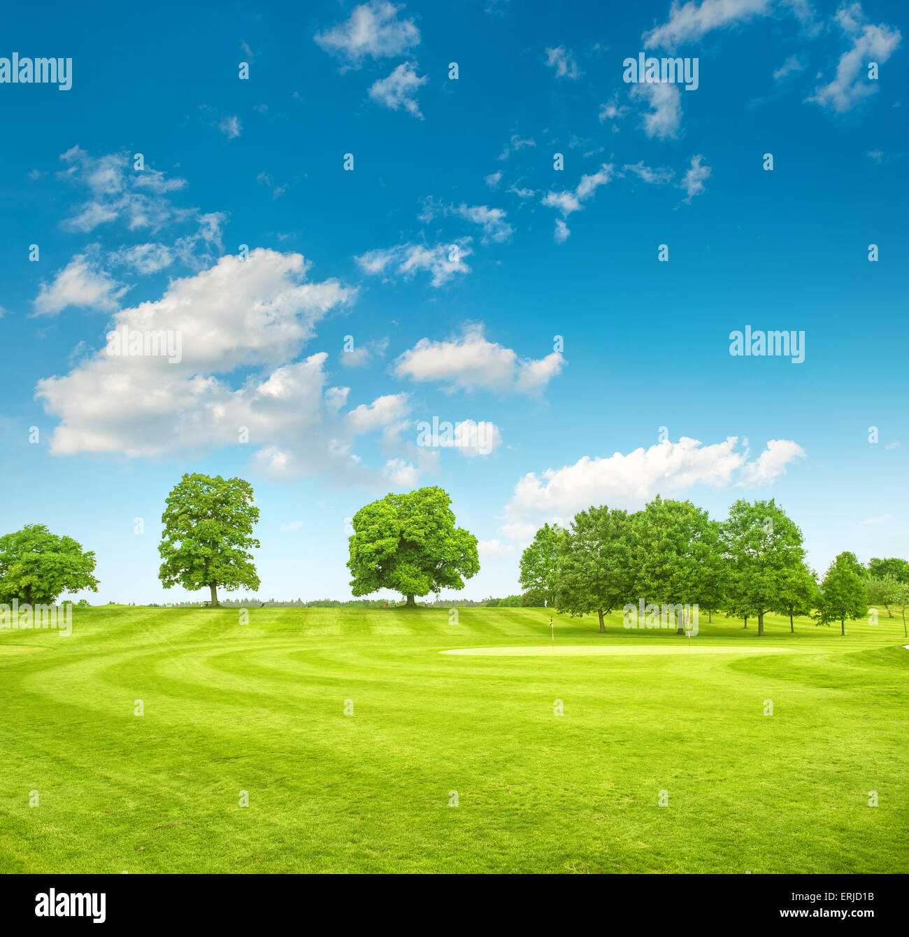 Golf course. Spring field landscape with green grass, trees and cloudy ...