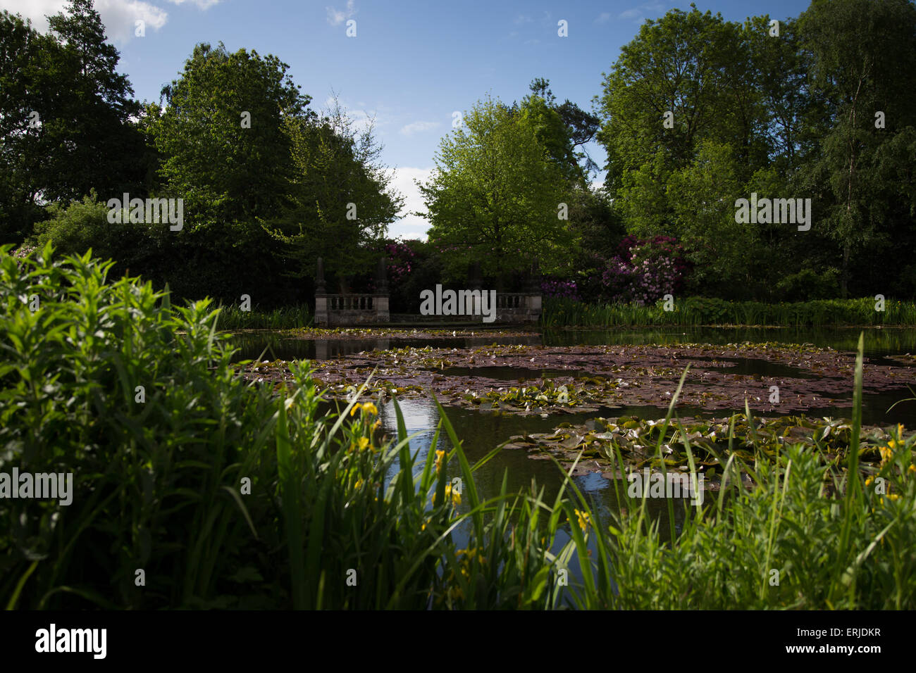 Dunchurch park hotel hi-res stock photography and images - Alamy