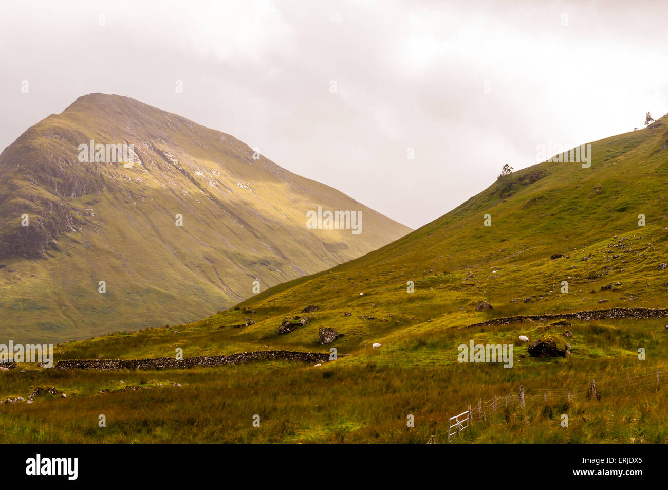 panoramic view of the scottish higlands at glencoe Stock Photo - Alamy