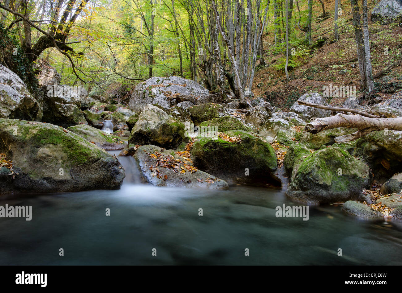 Lake in deep forest hi-res stock photography and images - Alamy