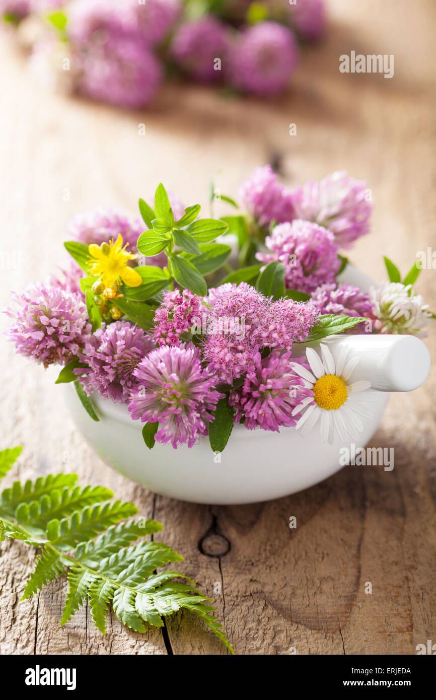 colorful medical flowers and herbs in mortar Stock Photo - Alamy