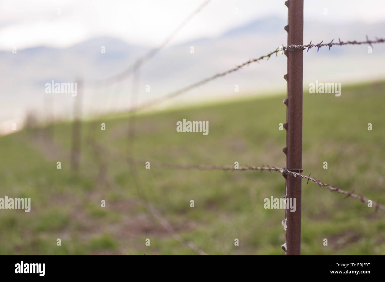 Barbed Wire Fence Stock Photo - Alamy
