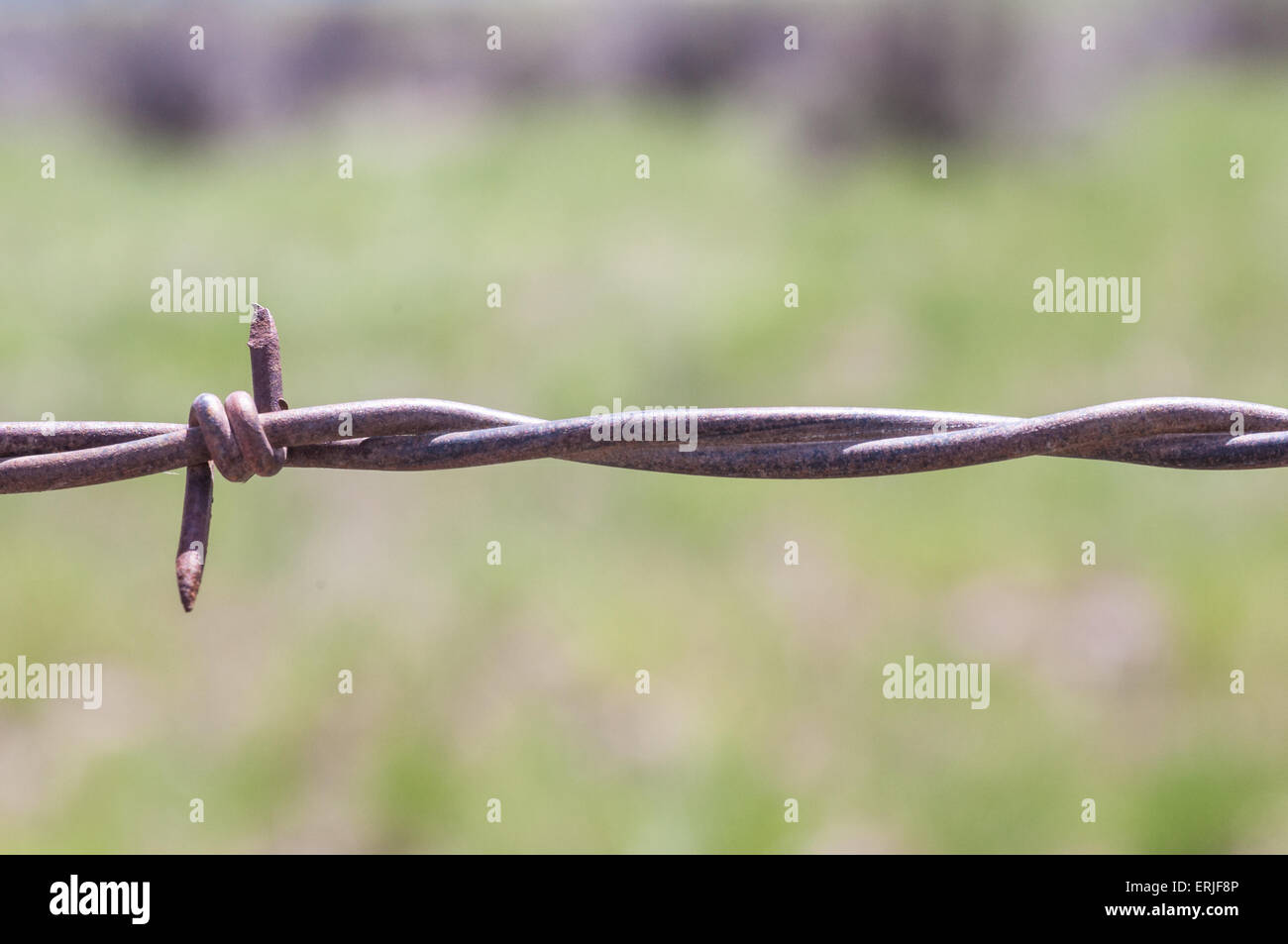 Metal fence containment hi-res stock photography and images - Alamy