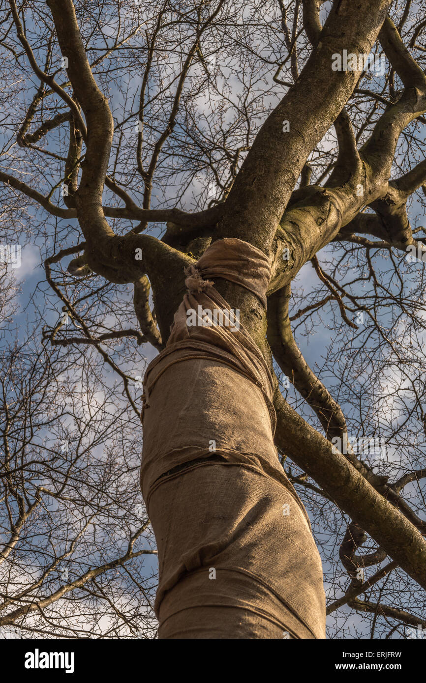 Cloth jute hi-res stock photography and images - Alamy