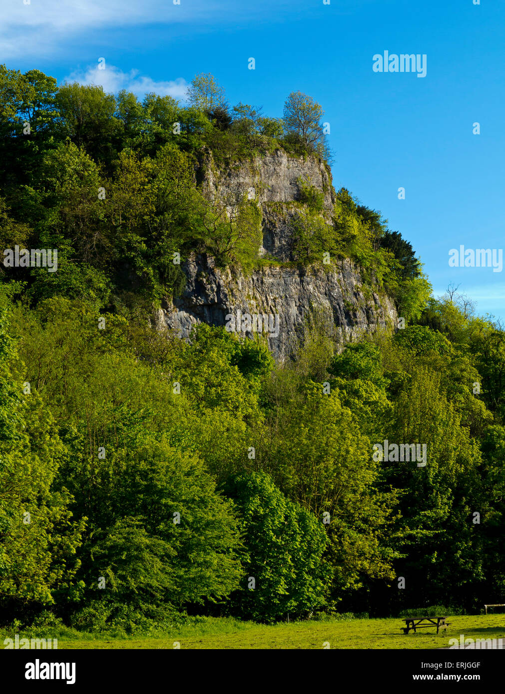 Popular climbers hi-res stock photography and images - Alamy