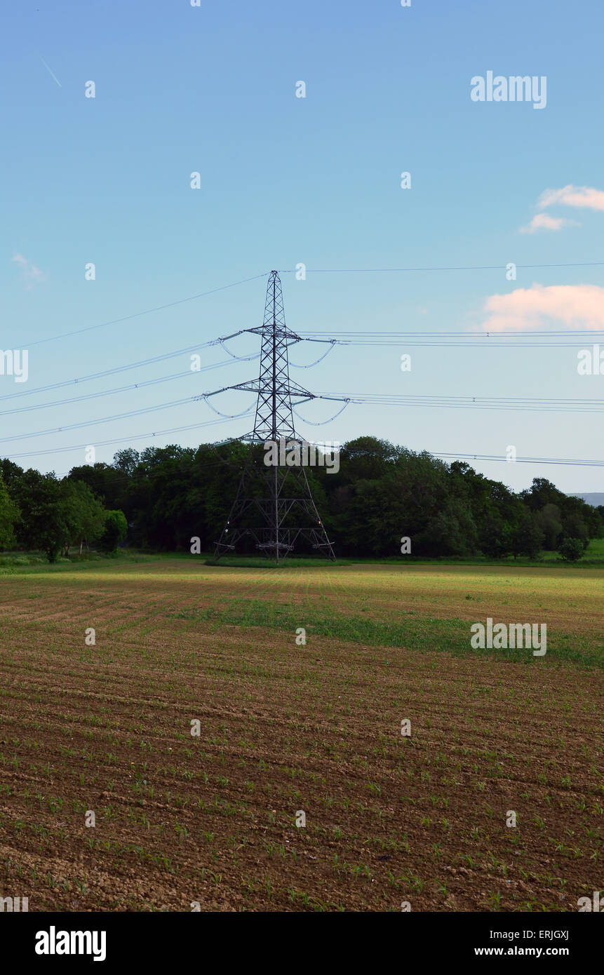 Large electricity pylon in the English countryside Stock Photo - Alamy