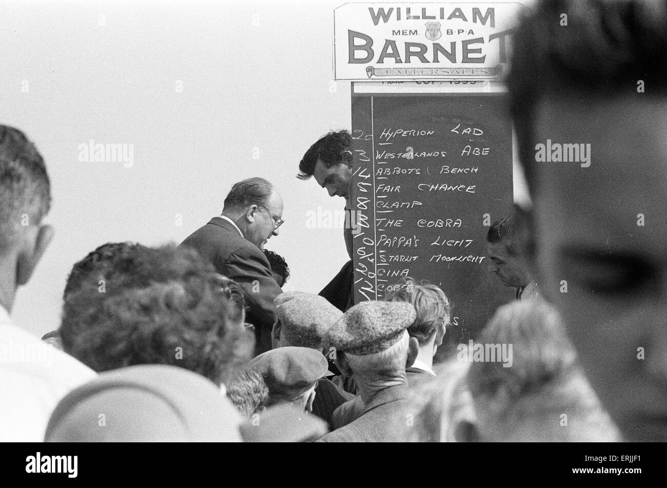 Albert Dimes, pictured at stand of William Barnet, Brighton Racecourse ...