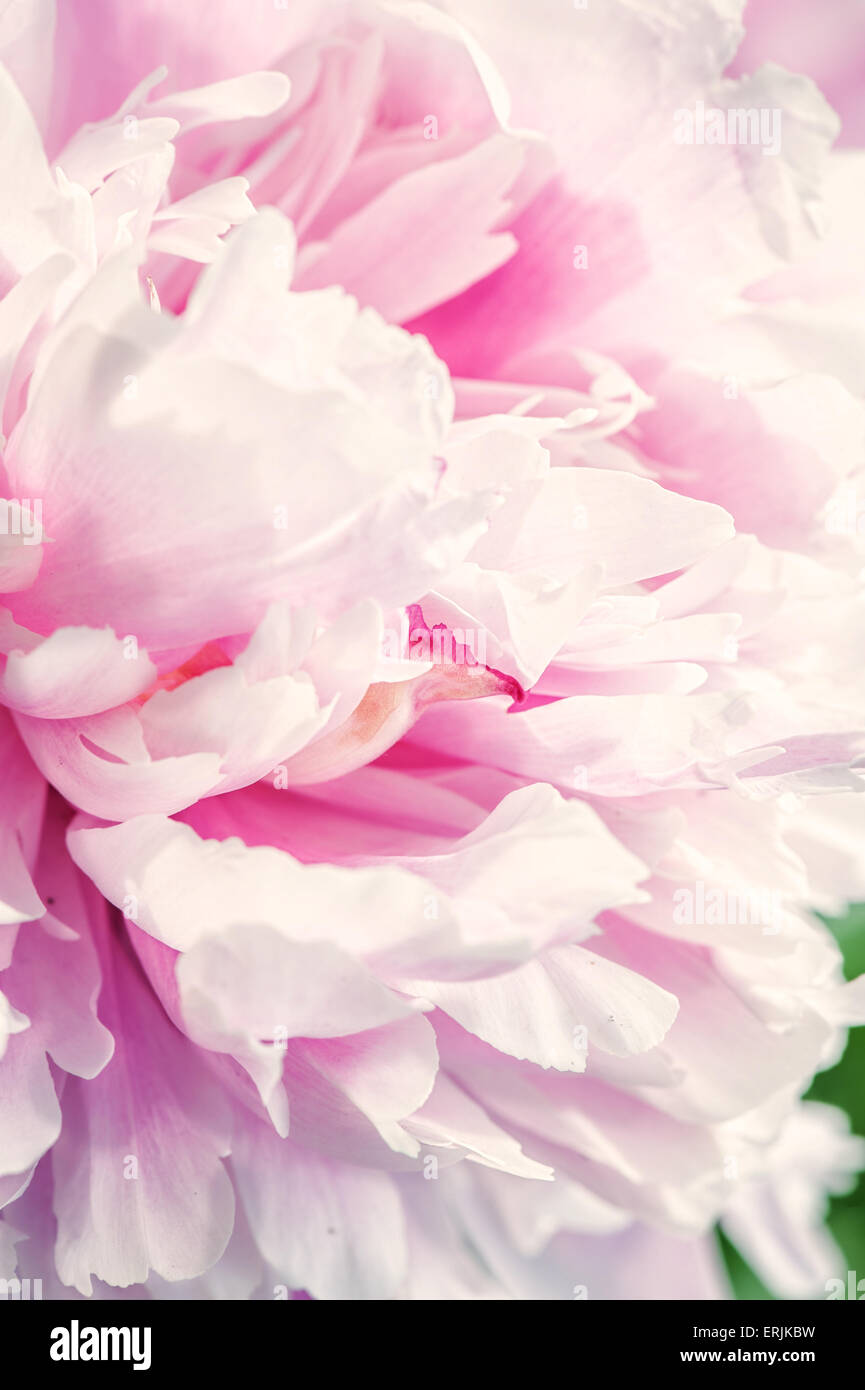 Nice filters hi-res stock photography and images - Alamy